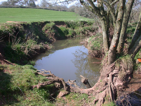 River Trothy – Monmouth And District Angling Society