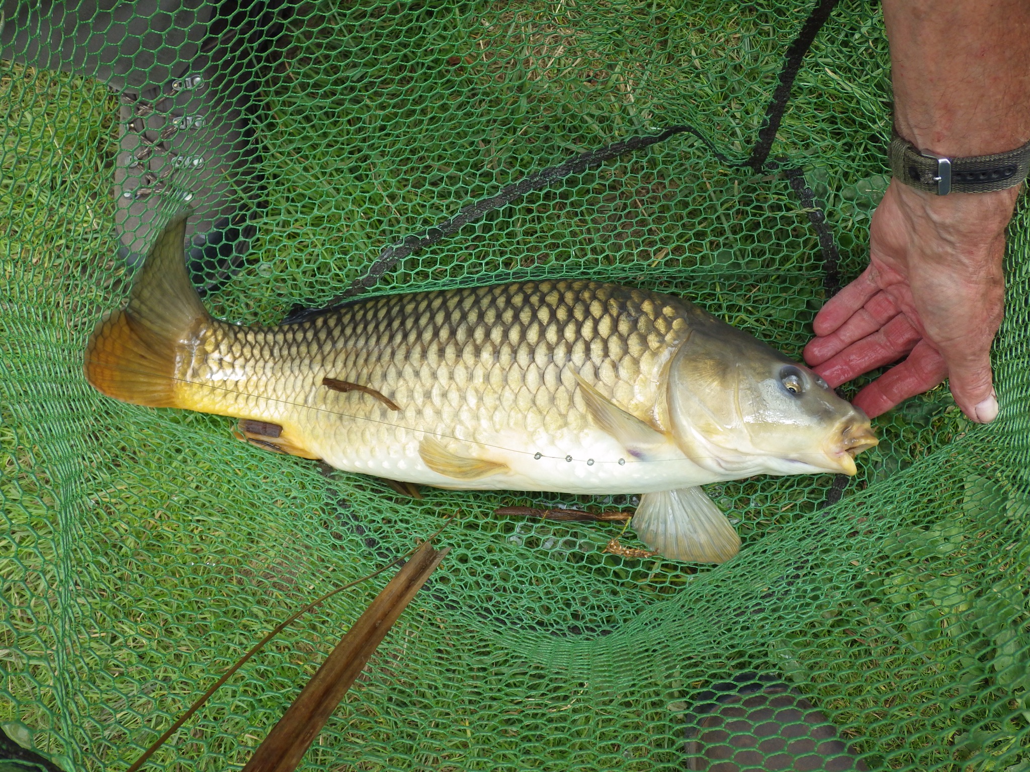 Gallery – Monmouth And District Angling Society
